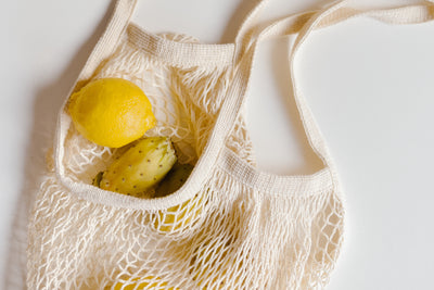 Gadellier, groseillier, cassissier, casseiller, les cultiver – Enracinés