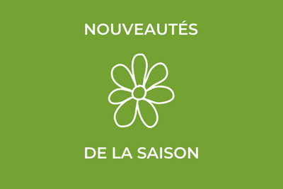 Gadellier, groseillier, cassissier, casseiller, les cultiver – Enracinés