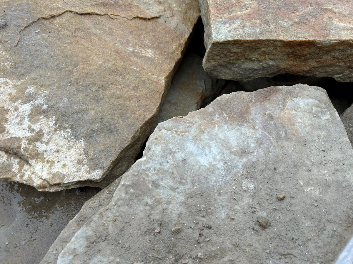 Pierre plate à patio brun beige – Enracinés