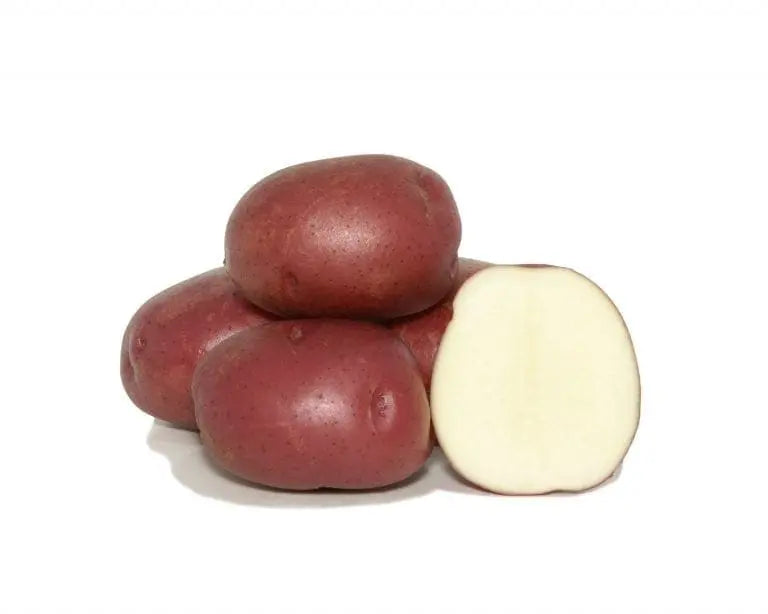 Pomme de terre, Patate de semence rouge ronde – Enracinés