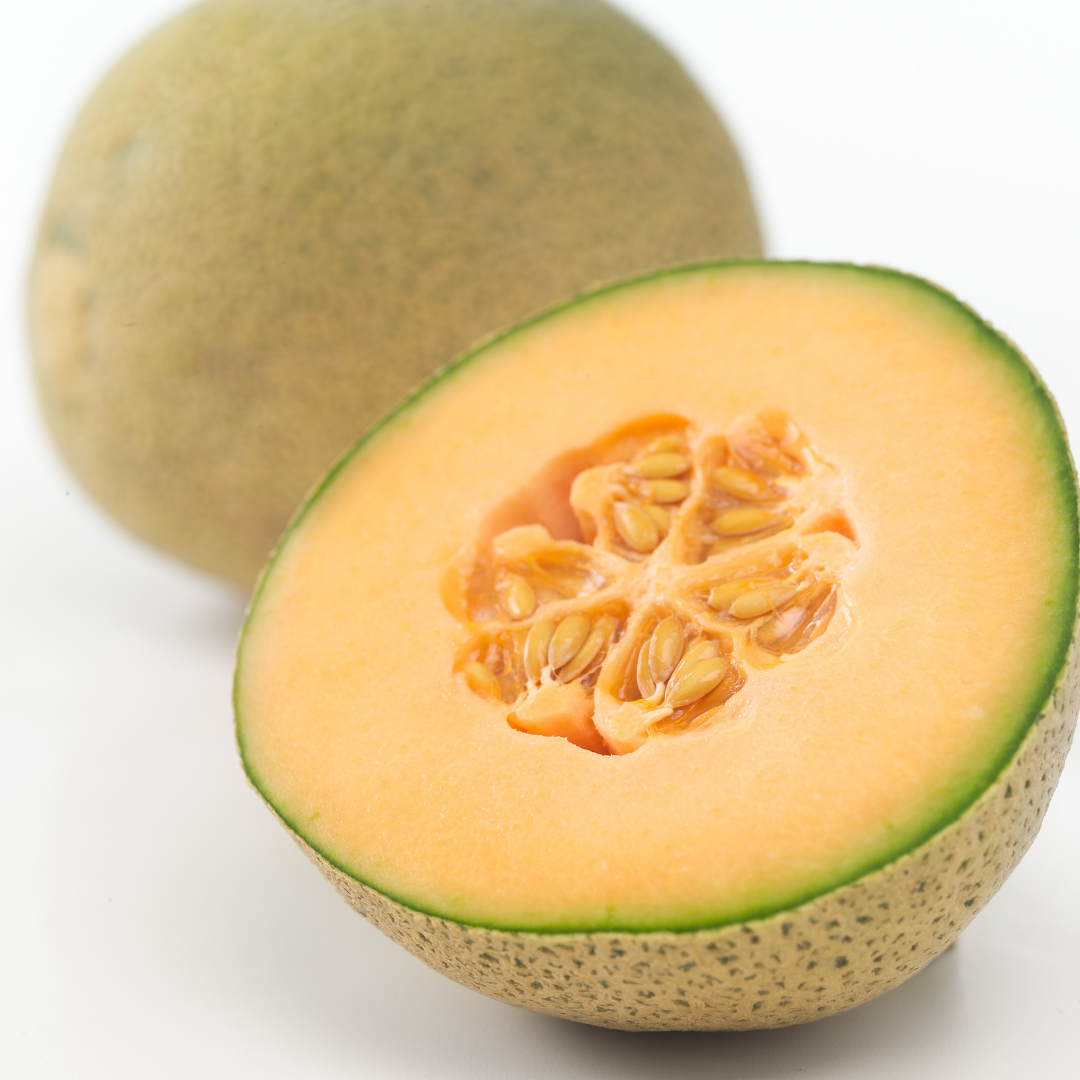 Melon brodé cantaloup (plant BIO) – Enracinés