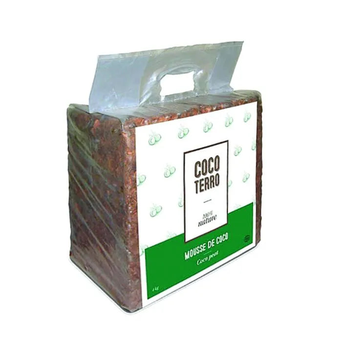 Mousse de noix de coco Coco Terro – Enracinés