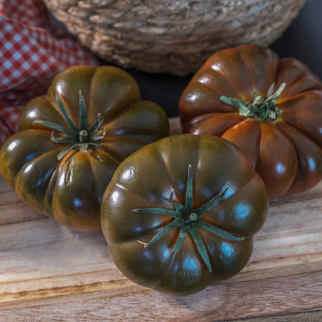 Tomate standard noire 'Noire de Crimée' (plant BIO) – Enracinés